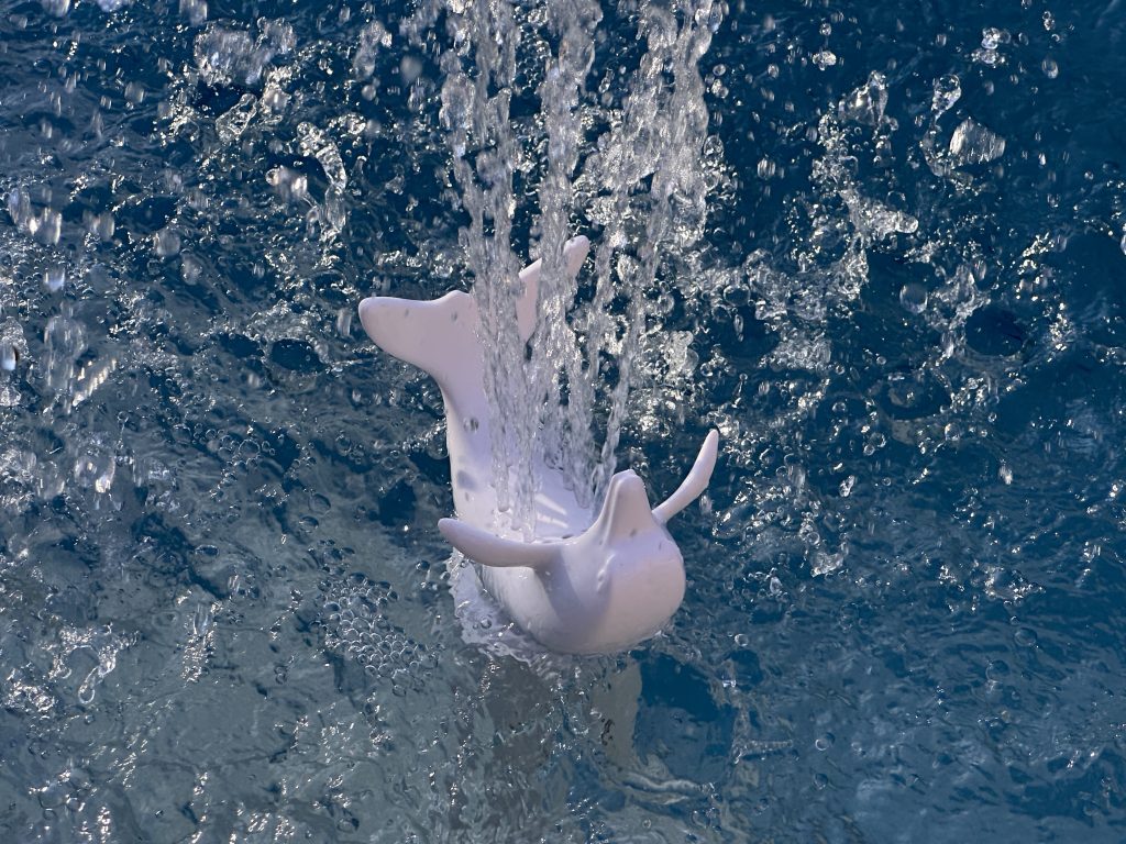 Dolphin Pool Bubbler For Sun Shelf Baja Ledges Shallow Areas 1.5 and 2 ...